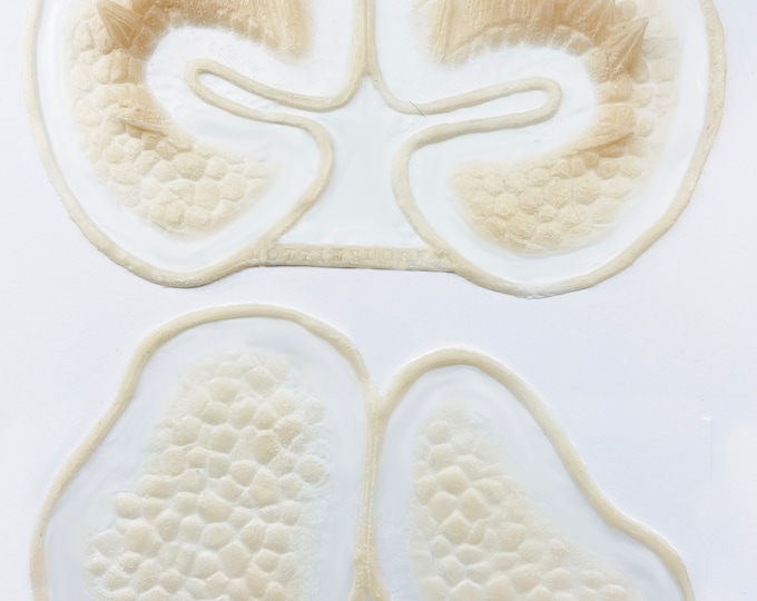 Dragon/scales/lizard Prosthetic, 2 Sides, Mask, SFX Makeup, Silicone ...