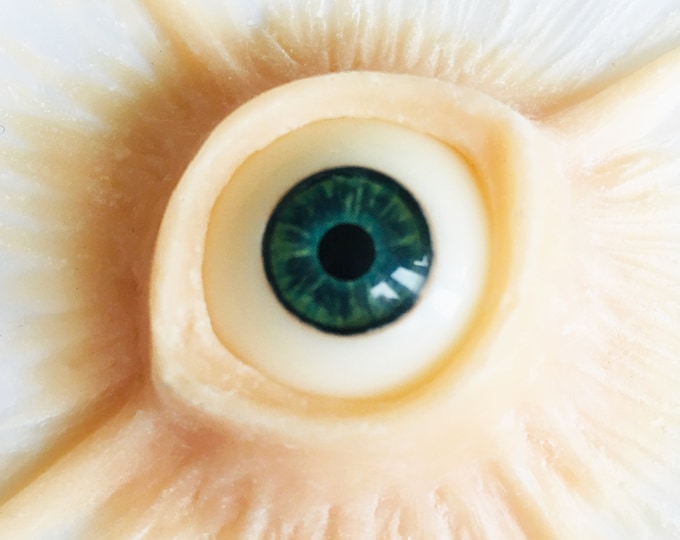 Gods Eye Silicone Prosthetic With Choice of Eye Colour - Etsy