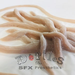 Unpainted Silicone Prosthetic, Tree Vines - Etsy
