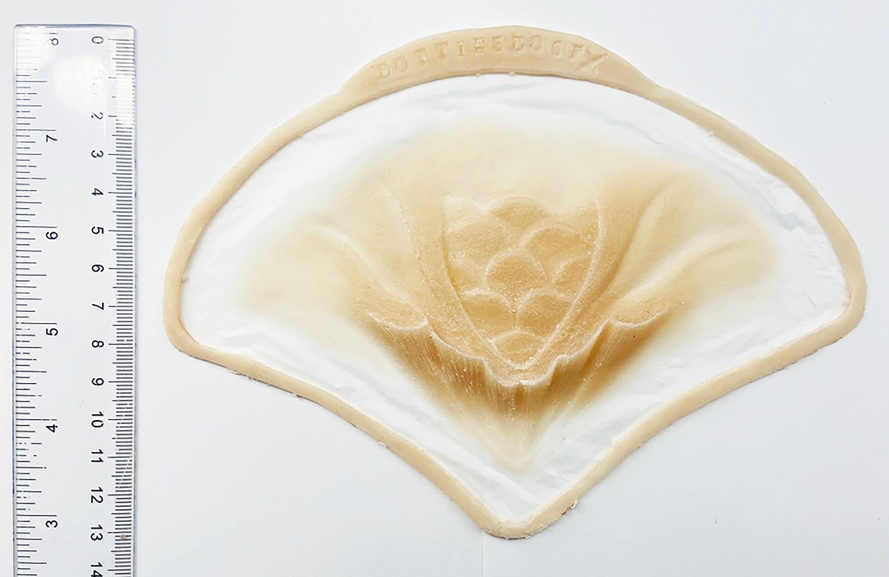 Sea Creature Pack 4 Piece Unpainted Silicone Prosthetics - Etsy