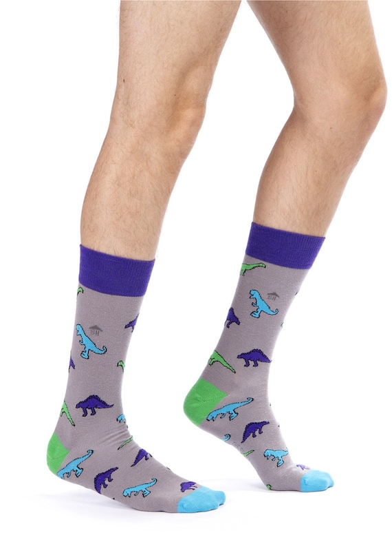 Dinosaur Design Socks Dinosaur Socks Animal Socks Dino | Etsy
