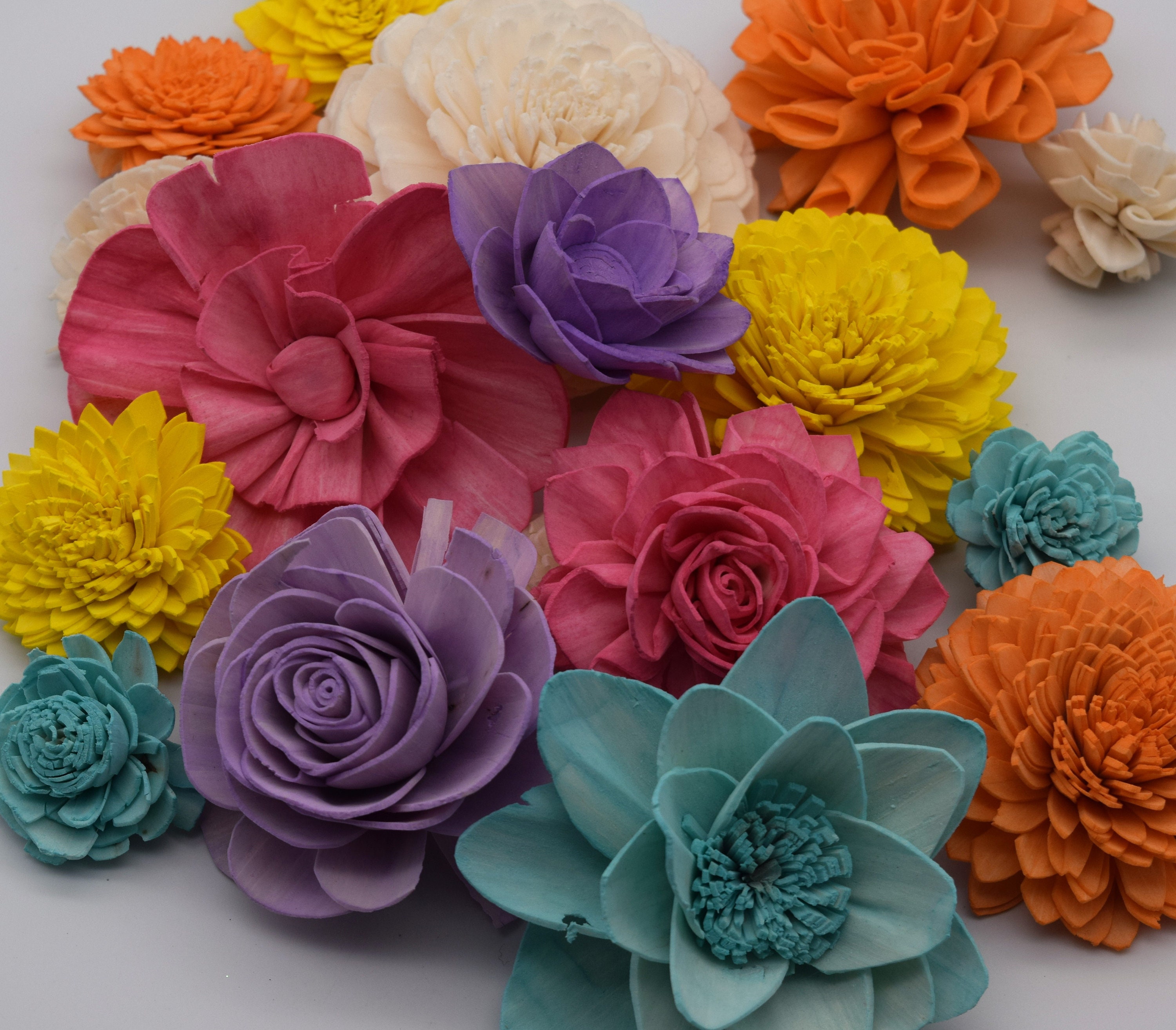 Sola Wood Flowers, Wood Flower Kit, Colorful Sola Flower Assortment ...
