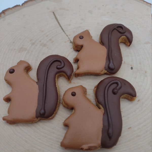 Squirrel Cookies - Etsy