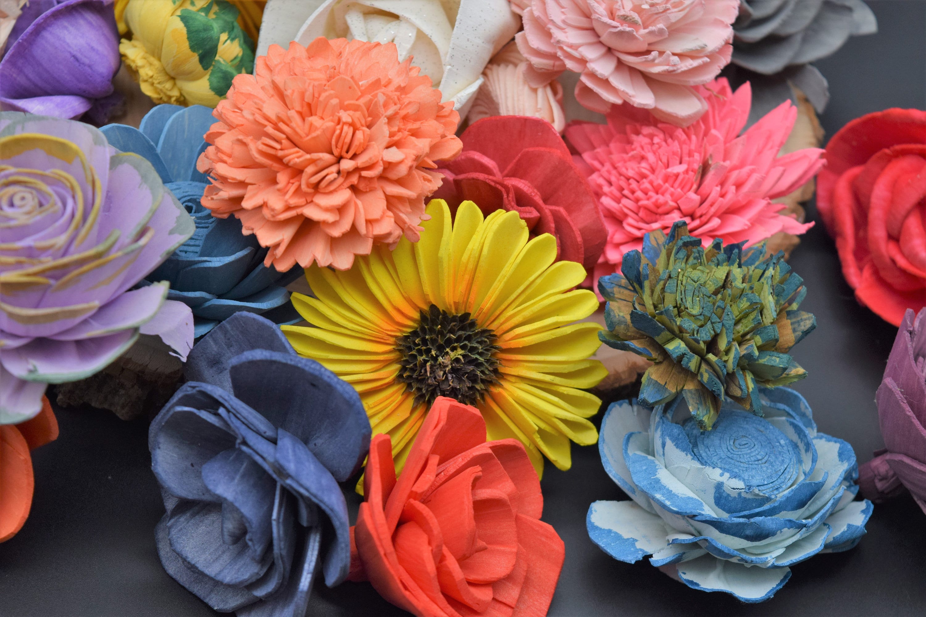 Craft Sola Wood Flower Seconds , Assorted Sola Flowers, DIY Crafts ...