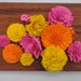 Sola Wood Flowers, Colorful Wood Flowers, Bright Sola Flowers, Forever ...