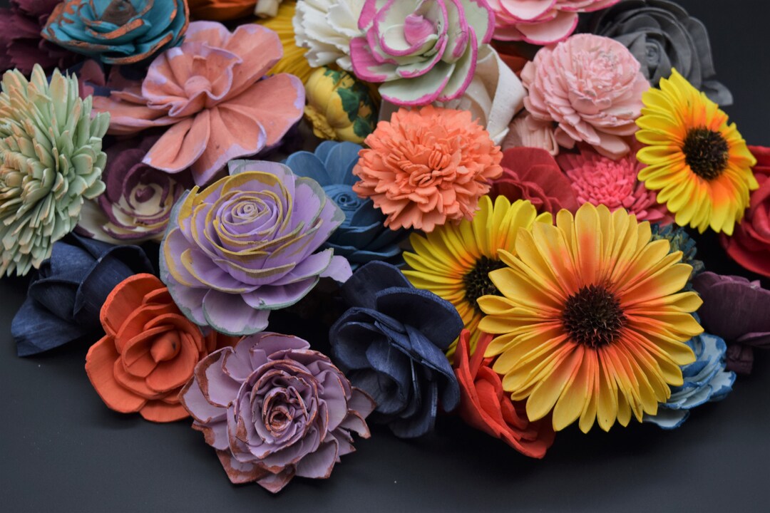 Craft Sola Wood Flower Seconds , Assorted Sola Flowers, DIY Crafts ...