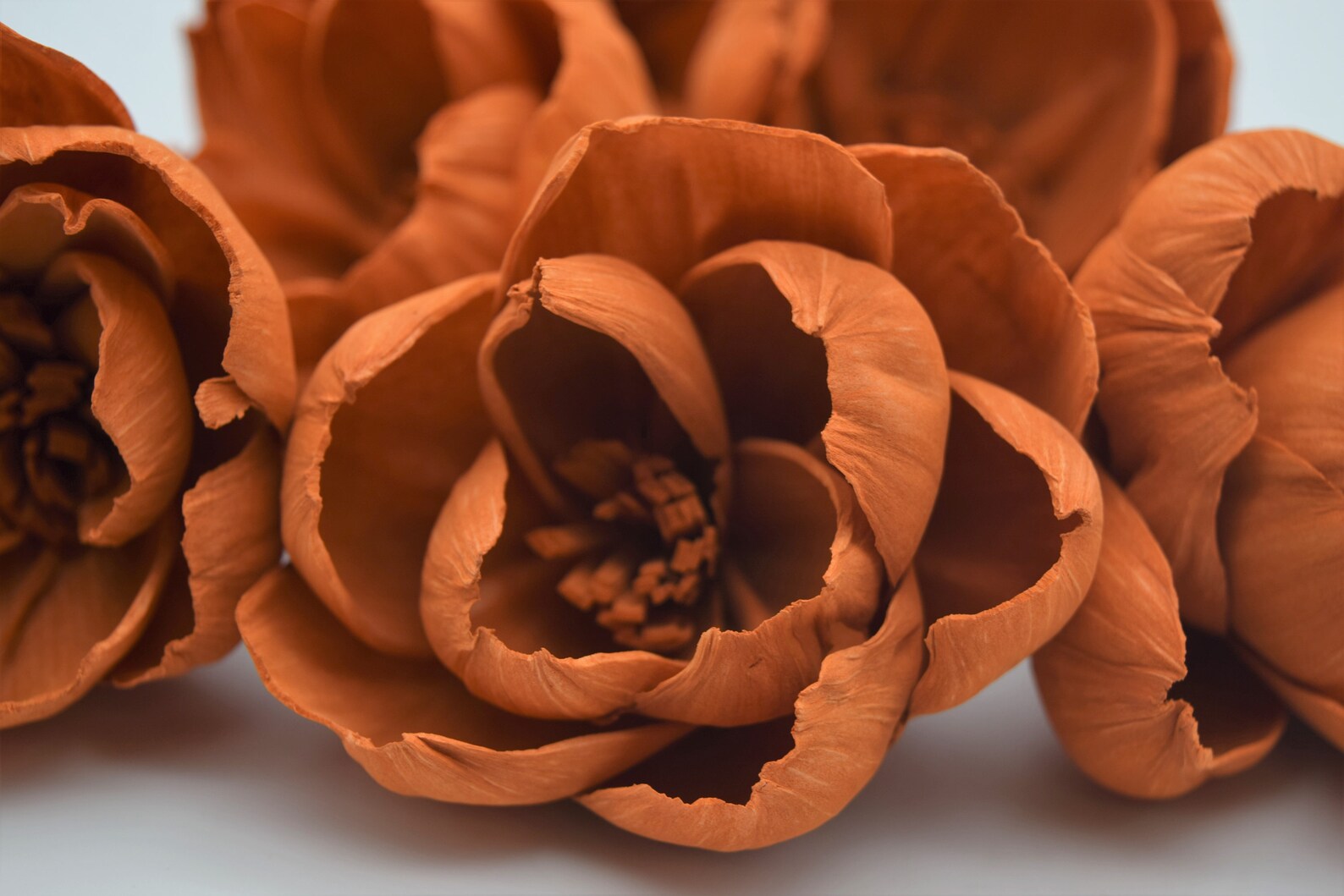 Peony Wood Flowers Fall Wood Flowers 5 Count Peony DIY - Etsy