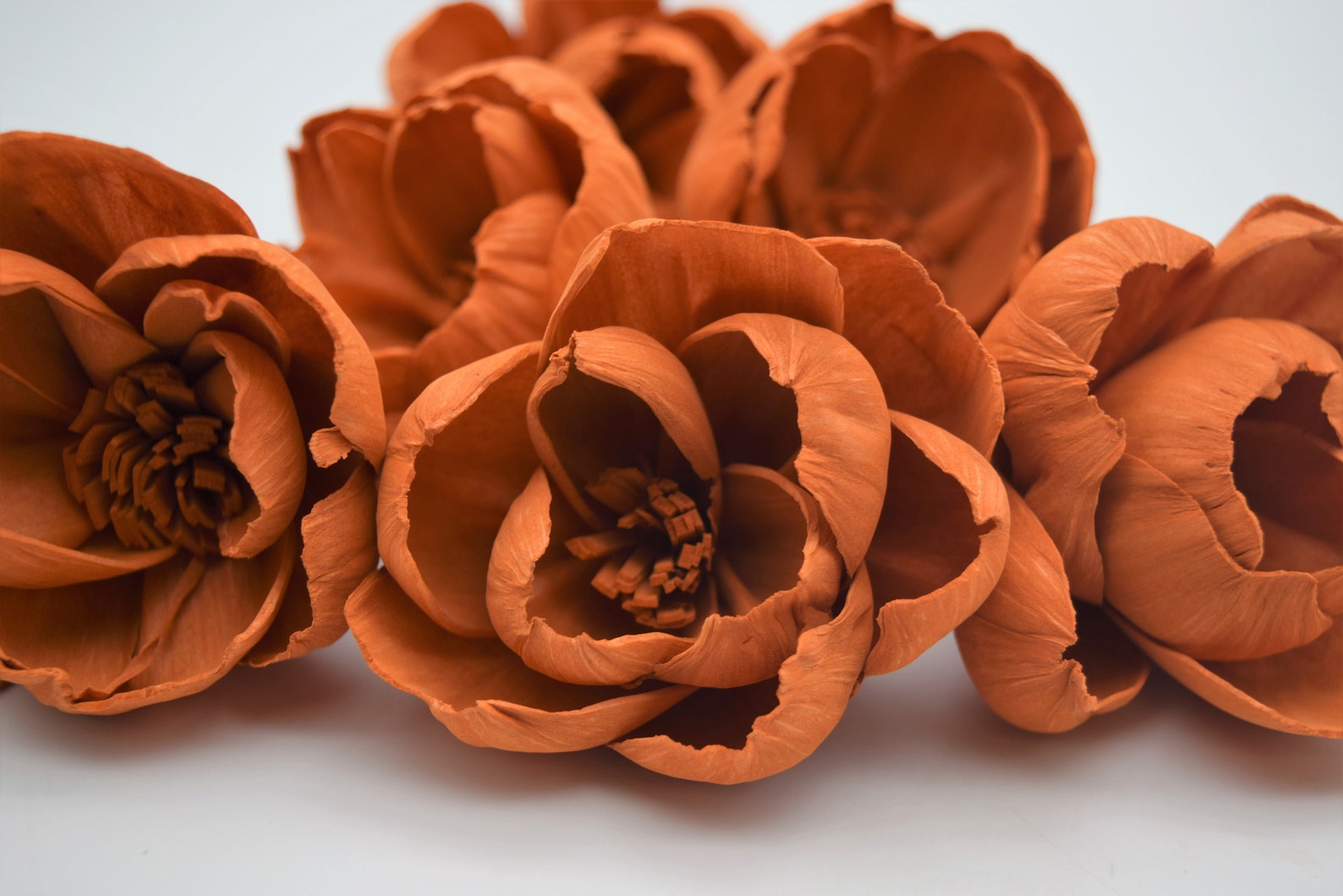 Peony Wood Flowers Fall Wood Flowers 5 Count Peony DIY - Etsy