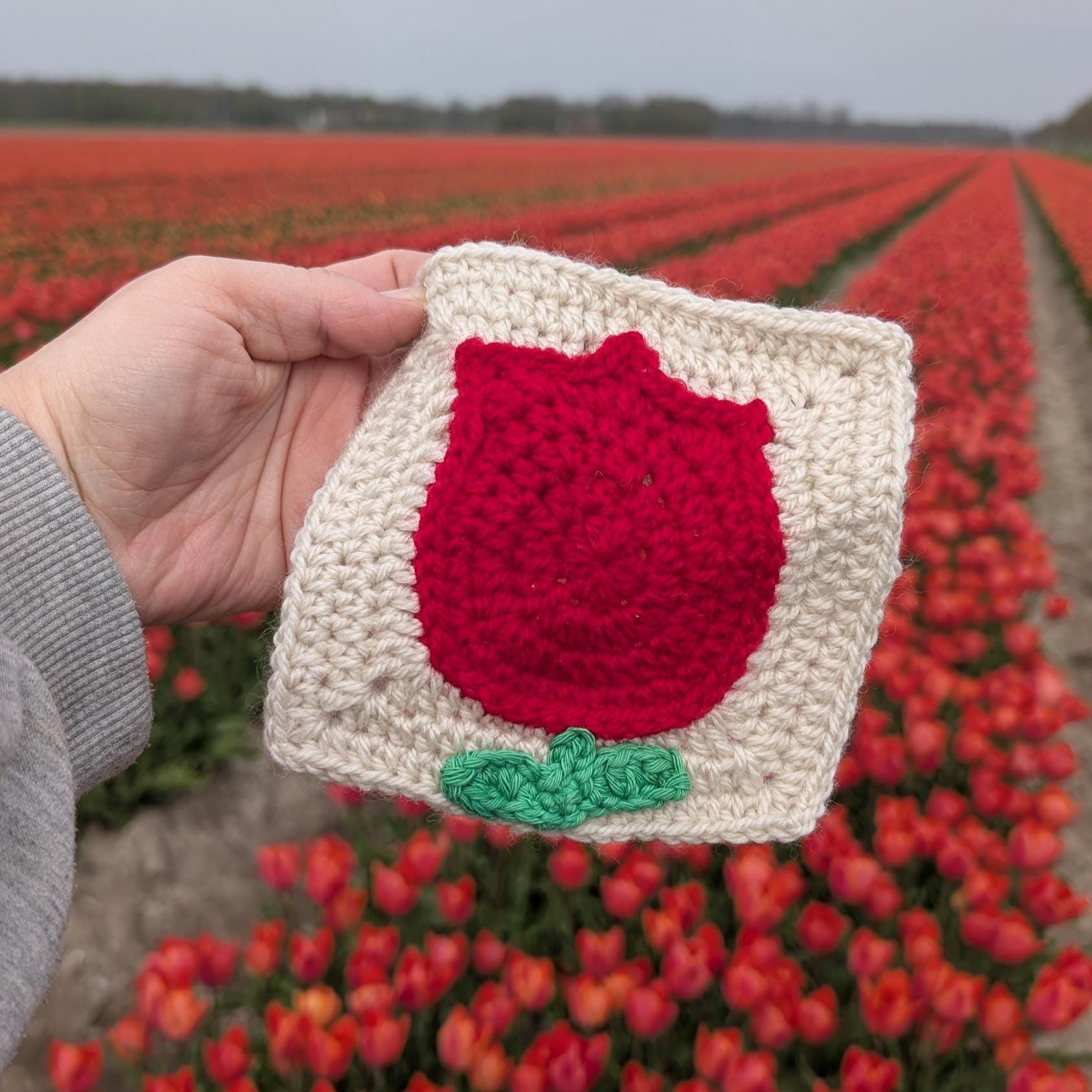 Tulip Granny Square & Triangle Crochet Pattern (PDF Download) - Etsy