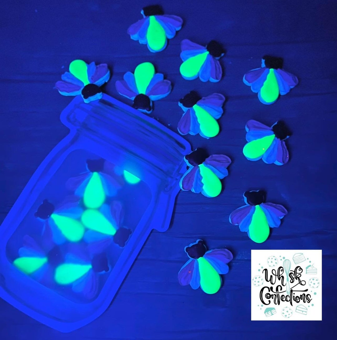 Firefly GLOW in the DARK Cookies - Etsy