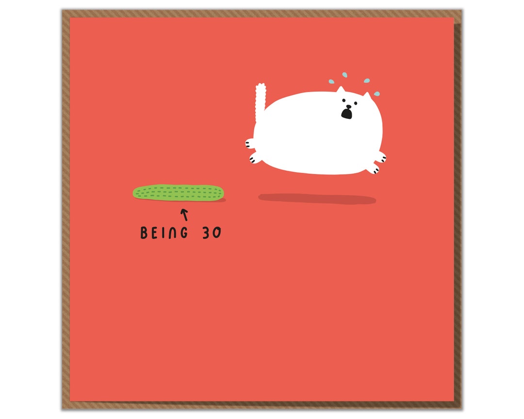 Being 30. Funny Cat 30th Birthday Card - Etsy