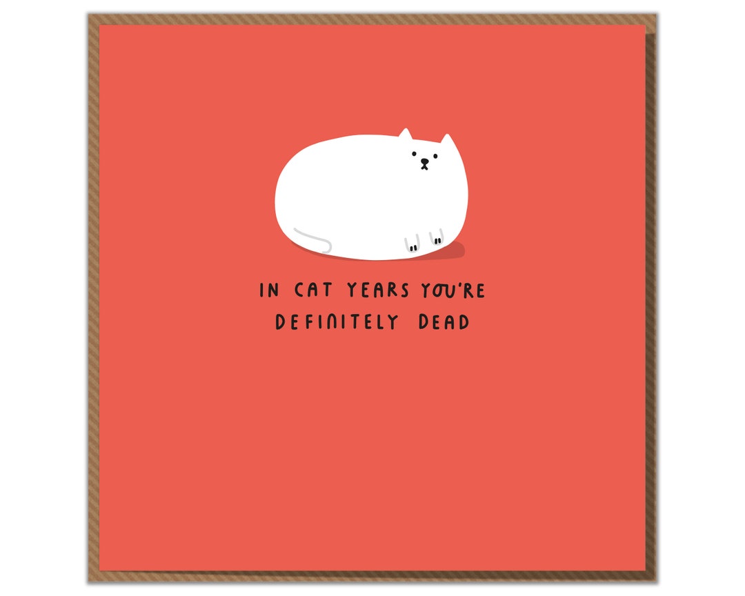 In Cat Years You re Definitely Dead Funny Cat Birthday Etsy in-cat-years-you-re-definitely-dead-funny-cat-birthday-etsy