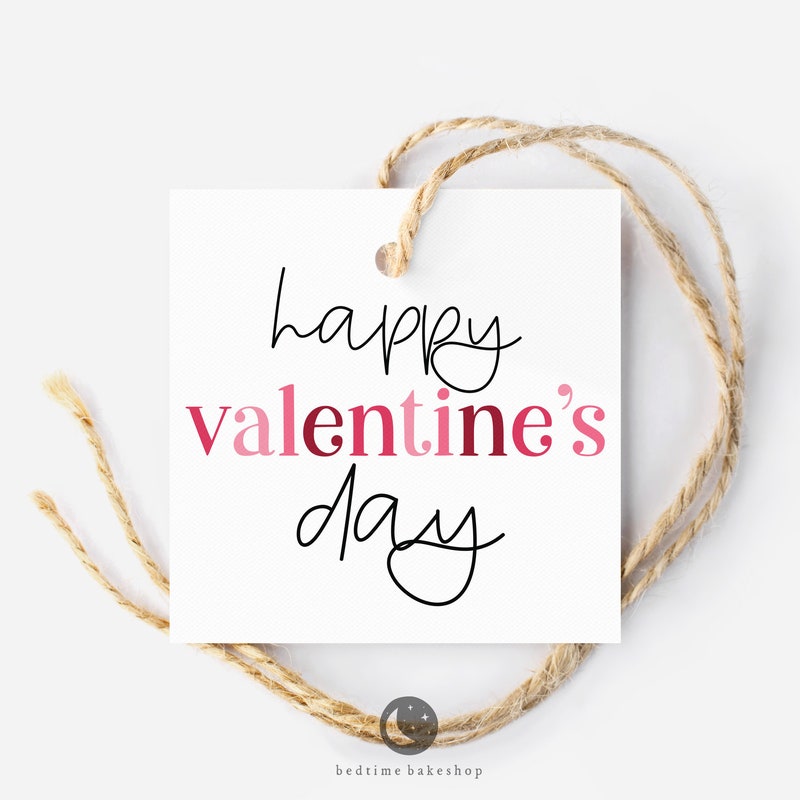 Animal Valentines Cookie - Etsy