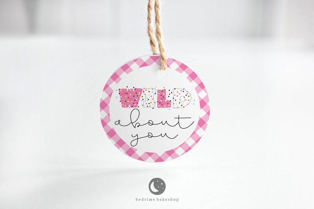 Printable Valentine's Day Cookie Tag Happy Valentine's Day Cookie Tags ...