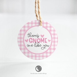 Printable Valentine's Day Cookie Tag - There's Gnome One Like You ...