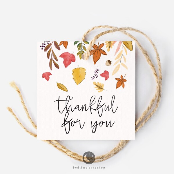 Thanksgiving Cookies - Etsy