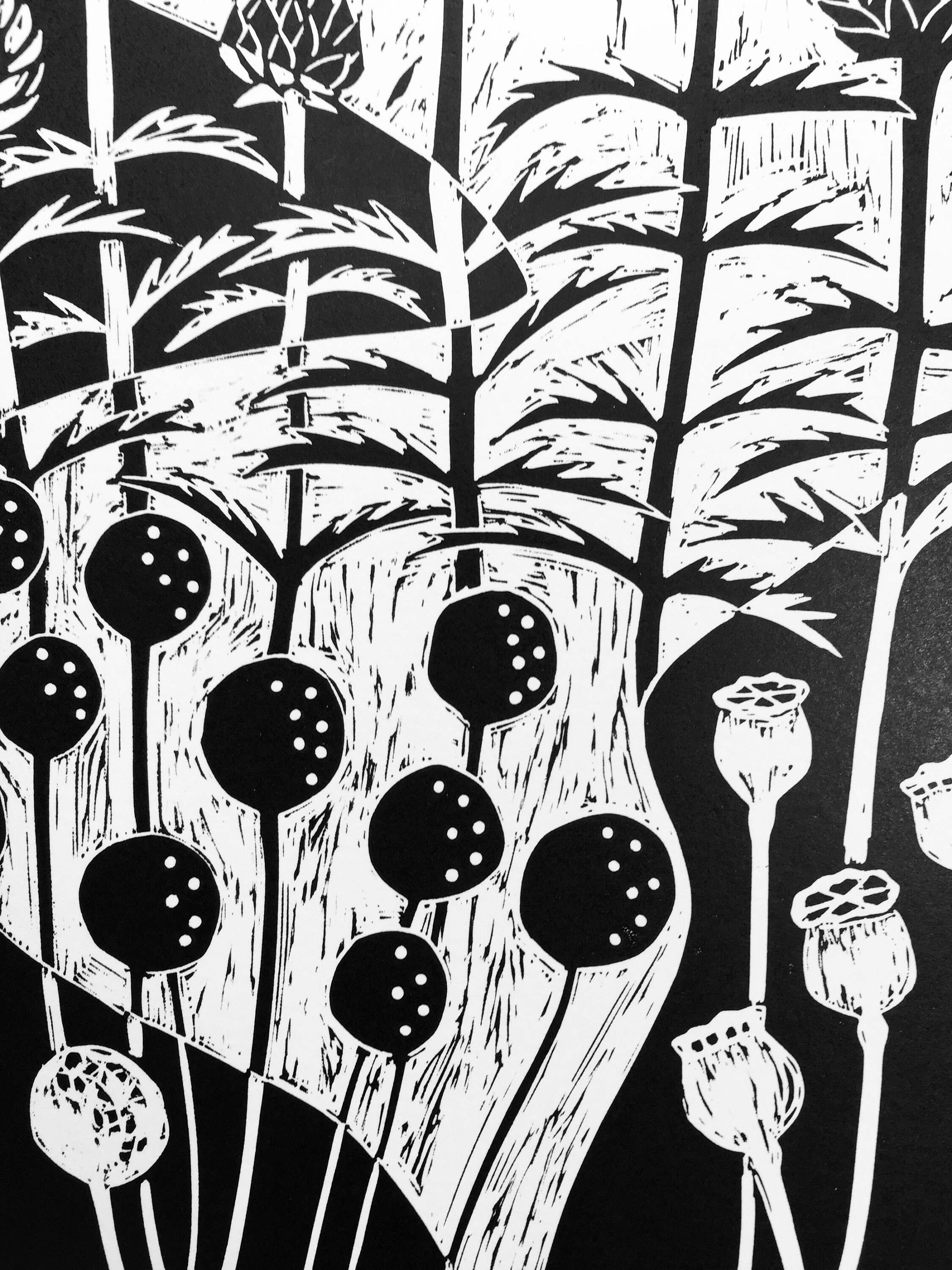 Limited Edition Handmade Linocut Print. Seed Heads and Artichokes. - Etsy