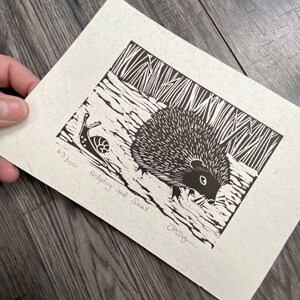 Limited Edition Handmade Linocut Print. Hedgehog and Snail - Etsy