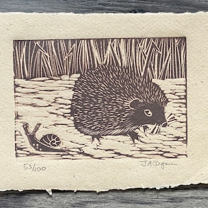 Limited Edition Handmade Linocut Print. Hedgehog and Snail | Etsy