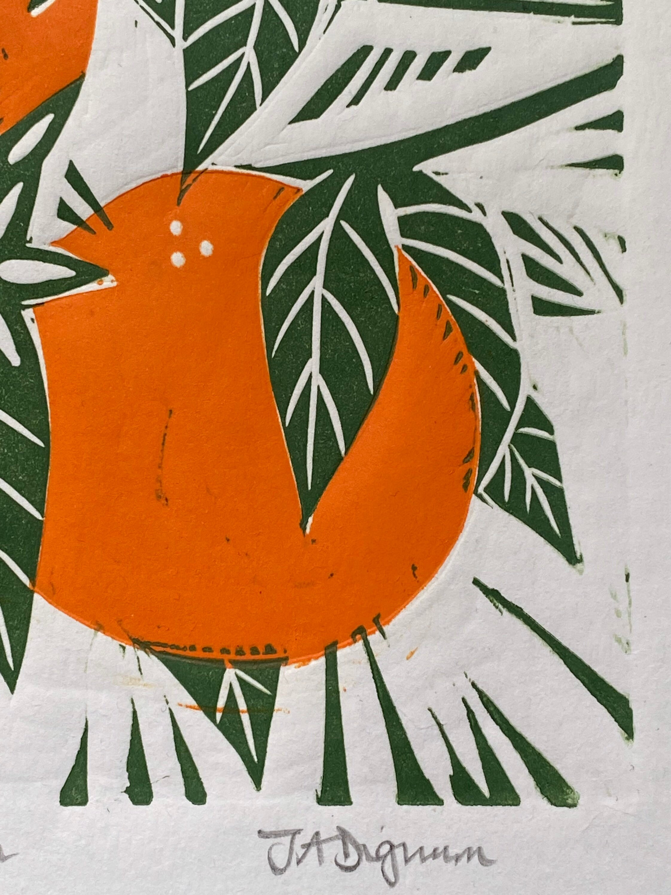 Limited Edition Handmade Linocut Print.orange Blossom. - Etsy