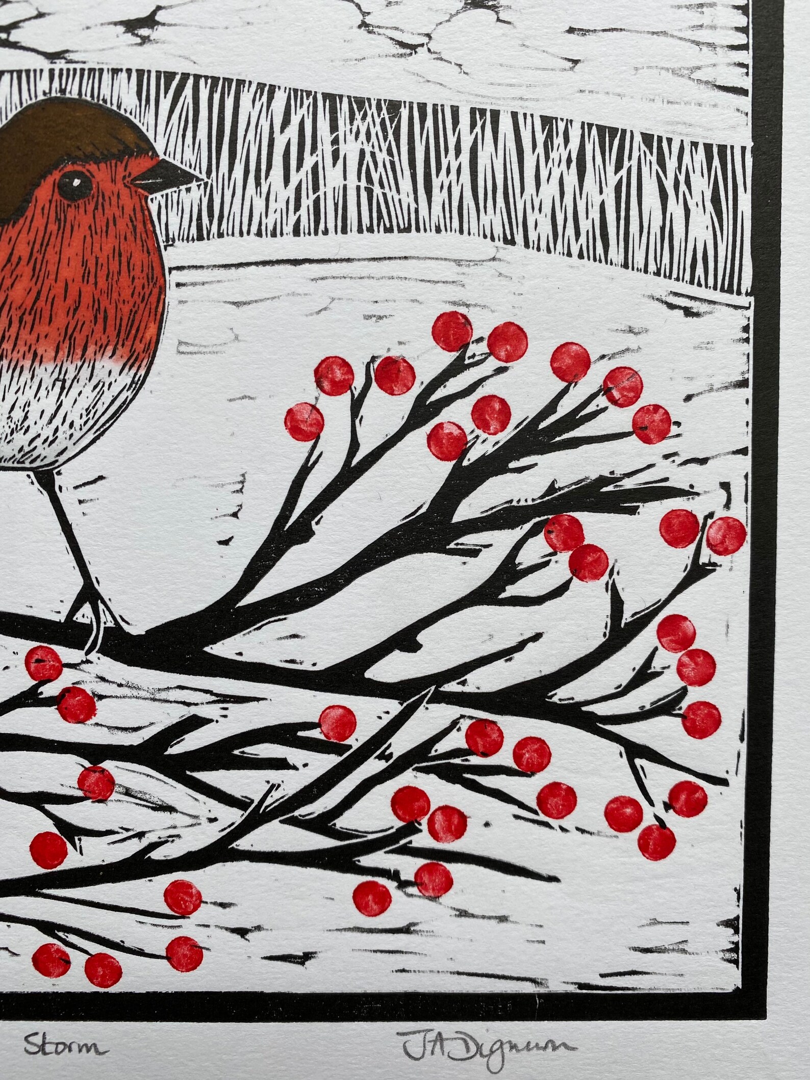Limited Edition Handmade Linocut Print. Robin in a Winter - Etsy