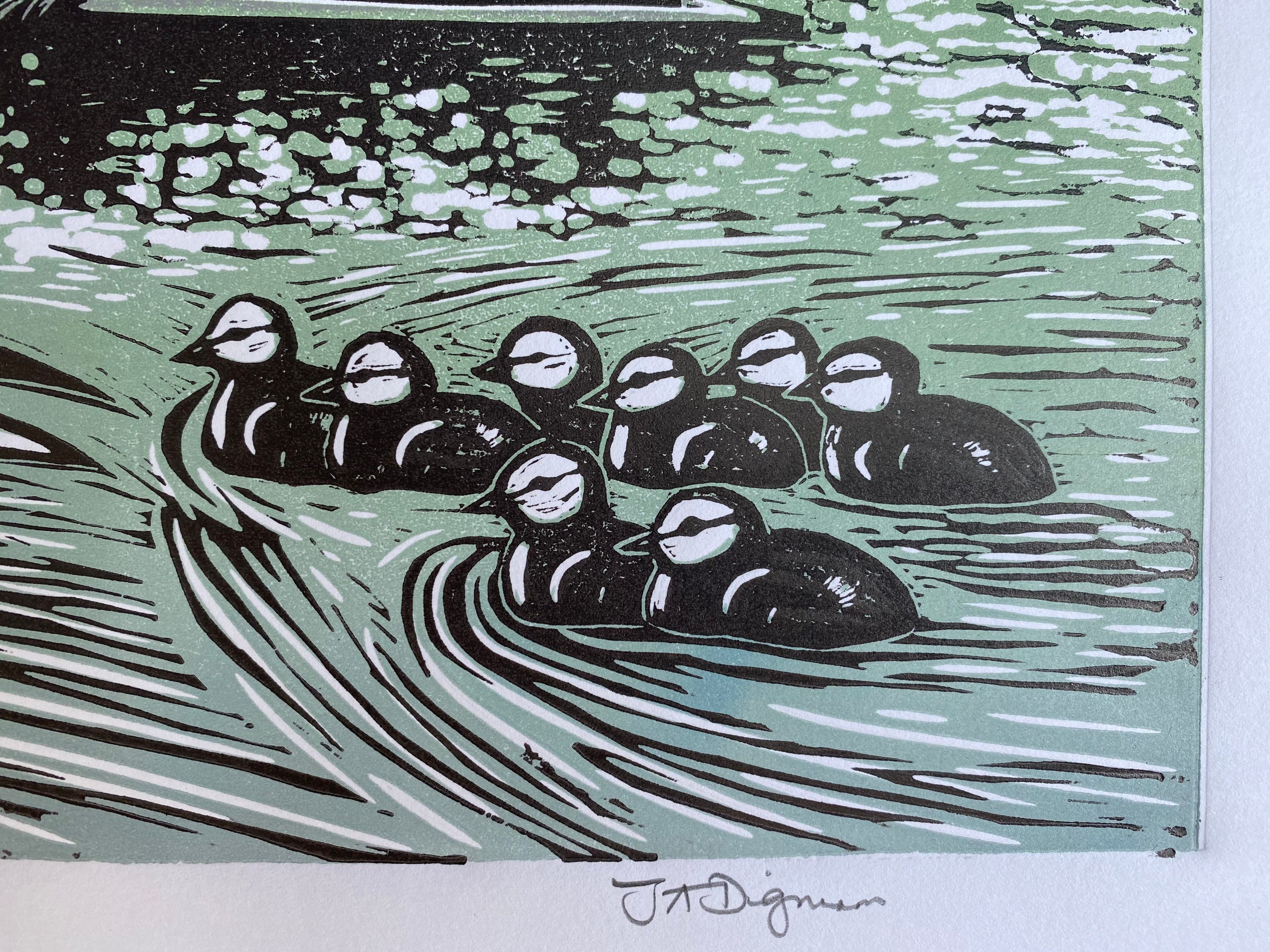 The Duck Pond. Limited edition handmade Linocut. | Etsy