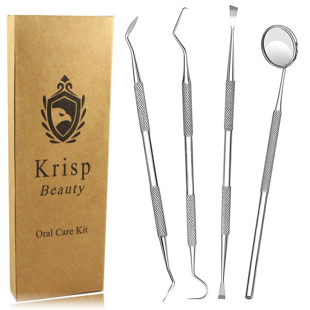 Stainless Steel Medical Grade Dental Kit Floss Pick Scaler Tartar ...