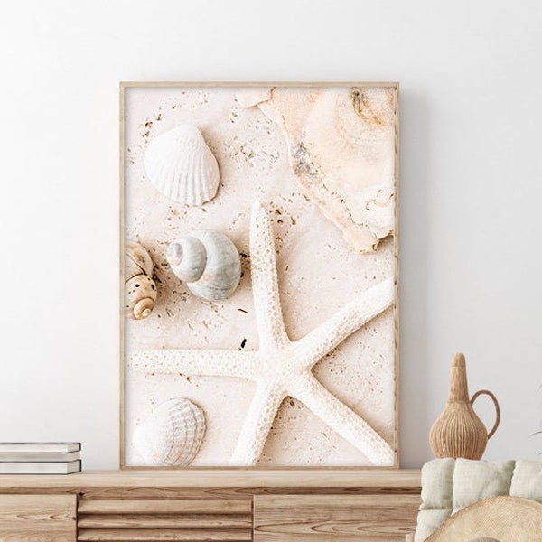 Sea Shell Wall Art - Etsy