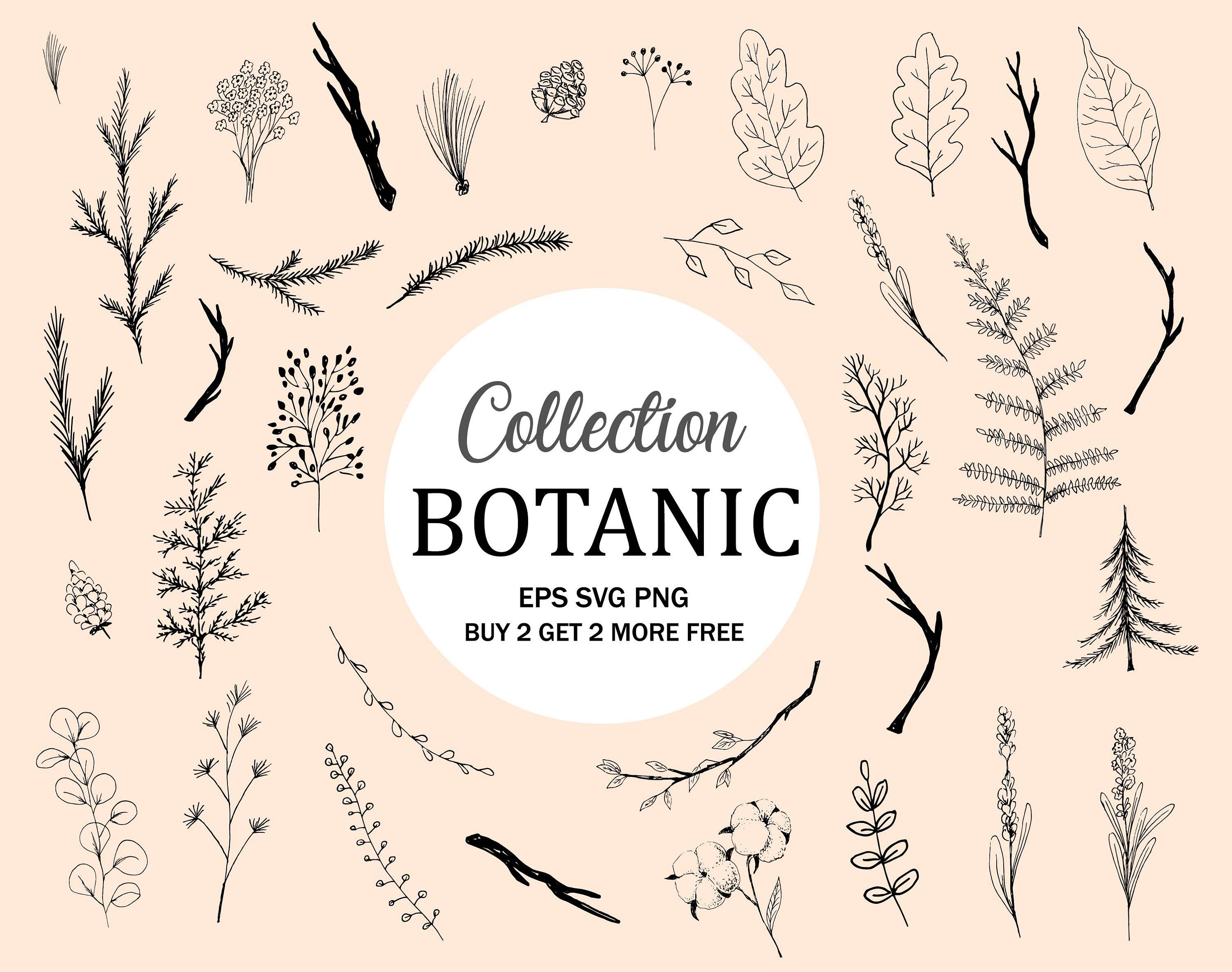 Botanical Clipart Collection Hand Drawn Floral Vector Set - Etsy