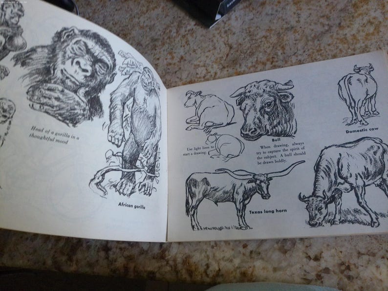 Vintage 1970s HOW TO DRAW Learn Drawing Animals Art Book Victor Perard ...