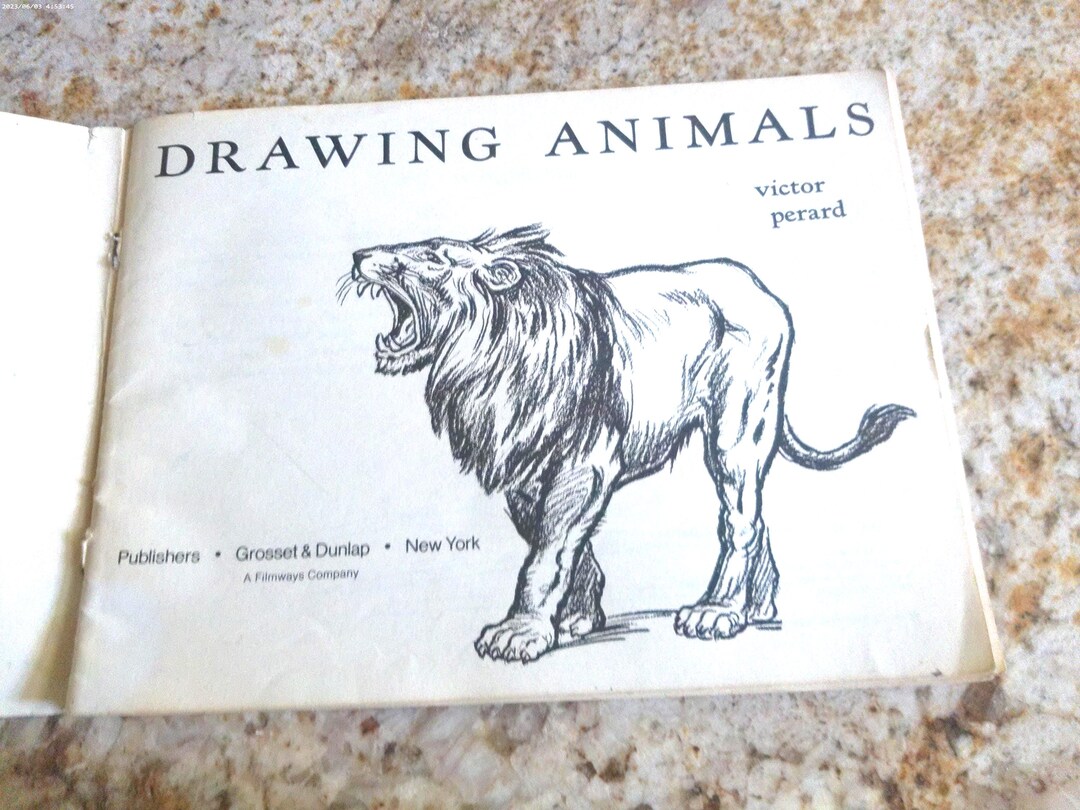 Vintage 1970s HOW TO DRAW Learn Drawing Animals Art Book Victor Perard ...