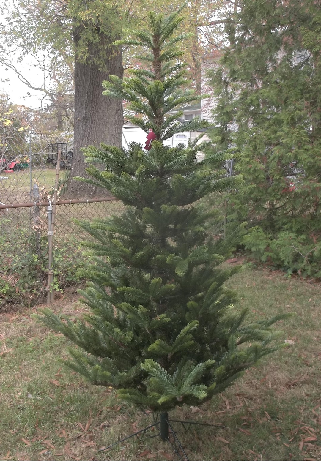 NEW Open Box Designer 7 1/2 ' Sparse CHRISTMAS TREE Molded Tips ...