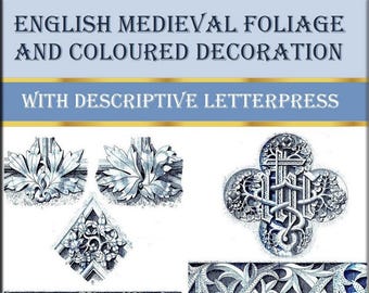 acanthus drawing tutorial