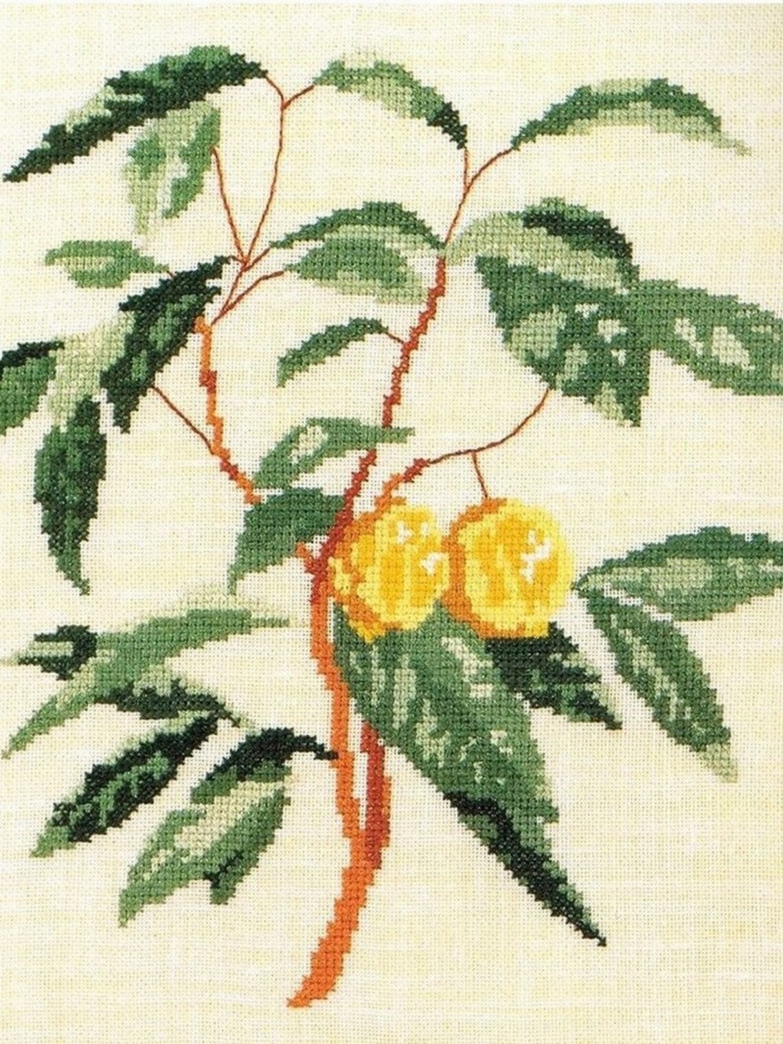 Cross stitch pattern book pdf Berriesplants fruits patterns | Etsy