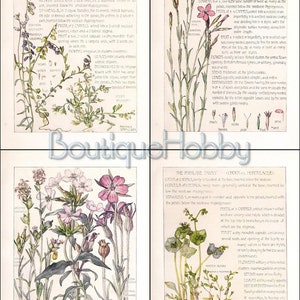Vintage Wild Flowers,botanical Collage Book,instant Download Book Pages ...