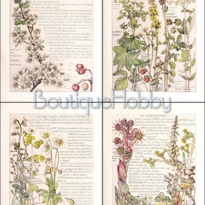 Vintage Wild Flowers,botanical Collage Book,instant Download Book Pages ...