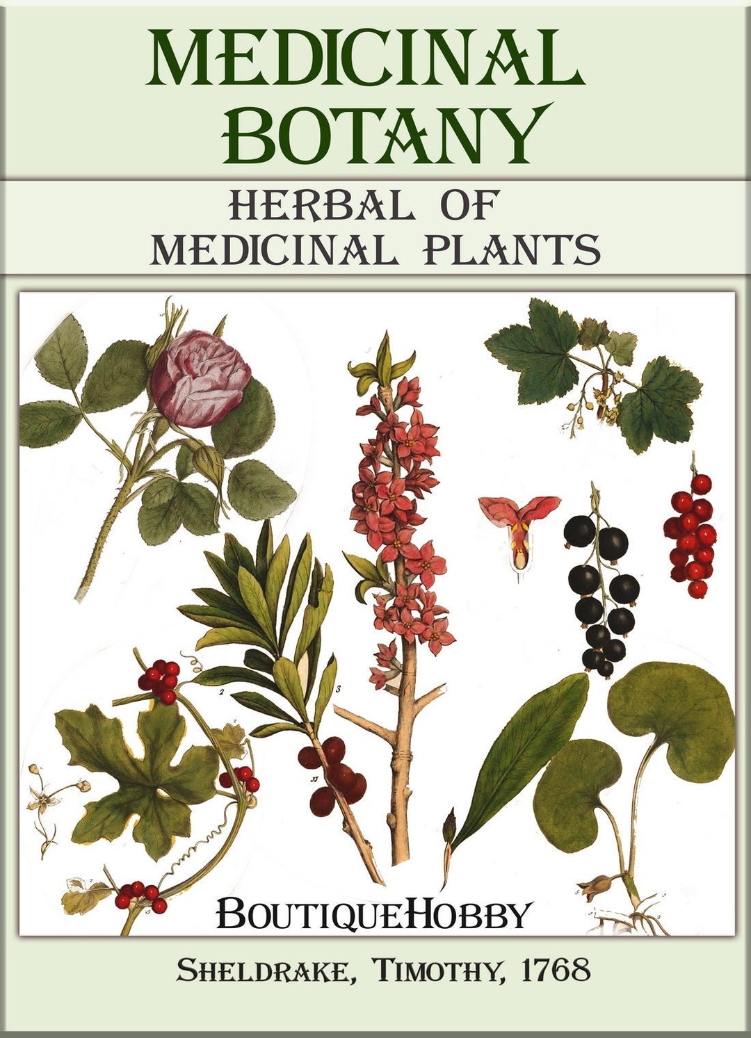 Vintage Medicinal Botany,herbal Plants,herbs Plant Book,instant ...
