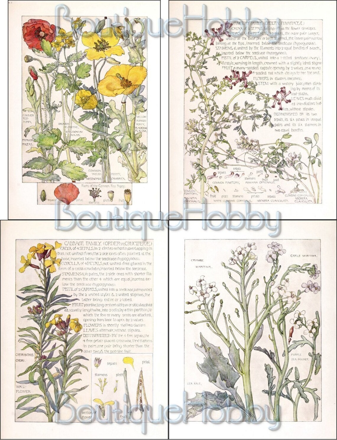Vintage Wild Flowers,botanical Collage Book,instant Download Book Pages ...