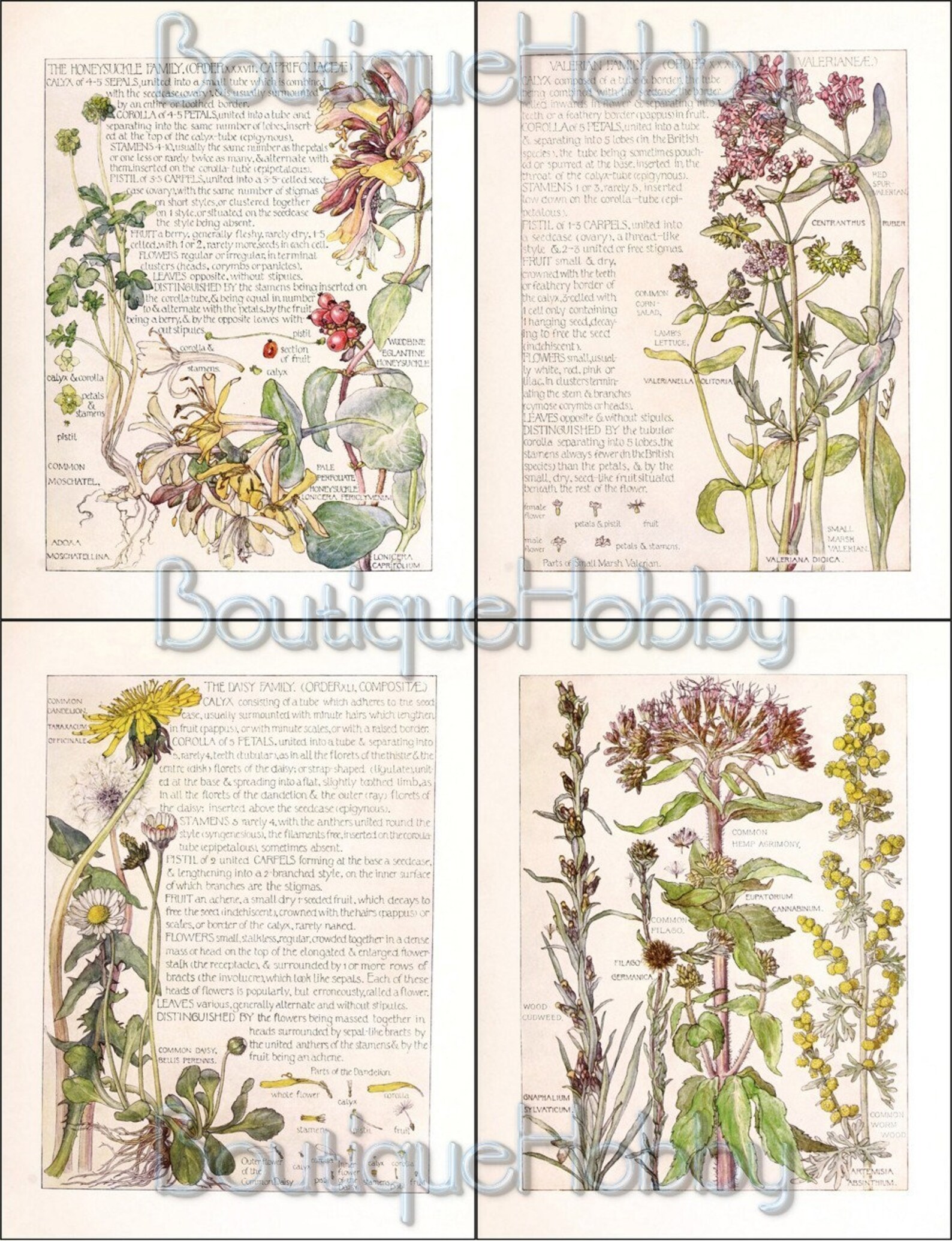 Vintage Wild Flowers,botanical Collage Book,instant Download Book Pages ...