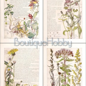 Vintage Wild Flowers,botanical Collage Book,instant Download Book Pages ...