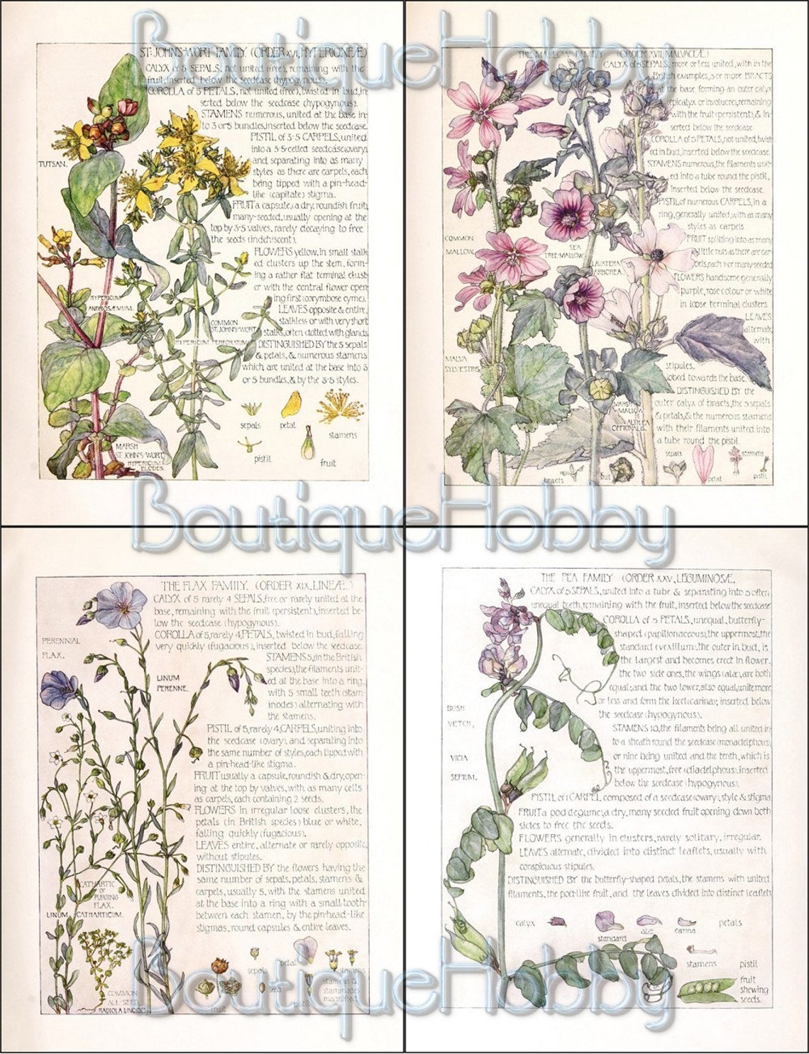 Vintage Wild Flowers,botanical Collage Book,instant Download Book Pages ...