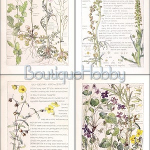 Vintage Wild Flowers,botanical Collage Book,instant Download Book Pages ...