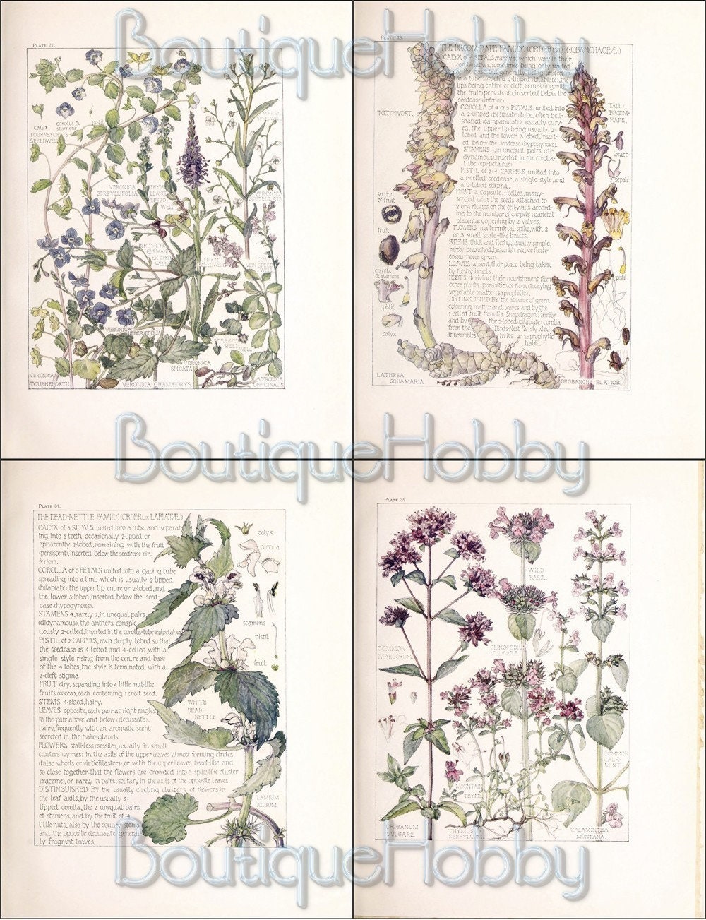 Vintage Wild Flowers,botanical Collage Book,instant Download Book Pages ...