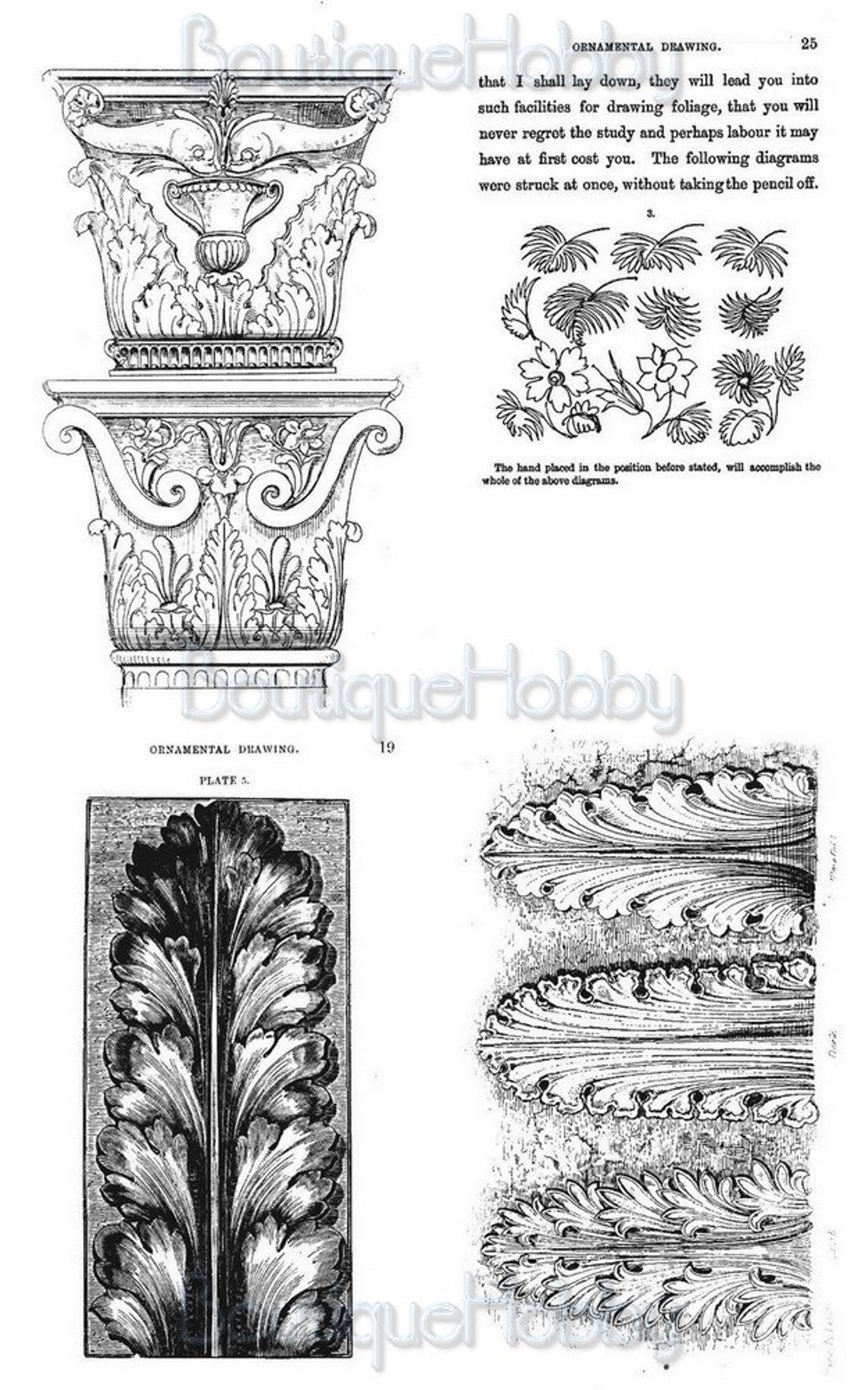 Ornamental Design Elementsornament Tutorialguide for Drawing - Etsy