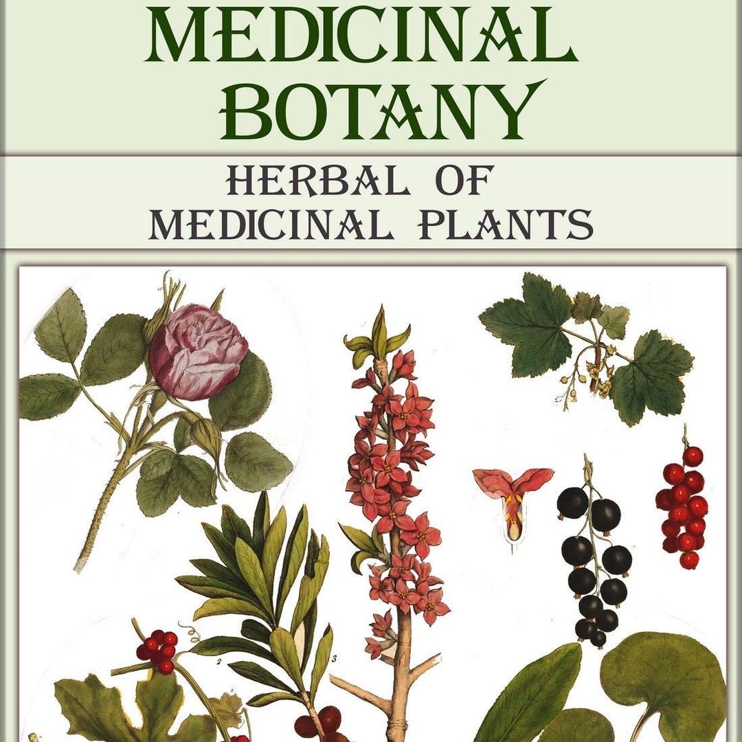 Vintage Medicinal Botany,herbal Plants,herbs Plant Book,instant ...