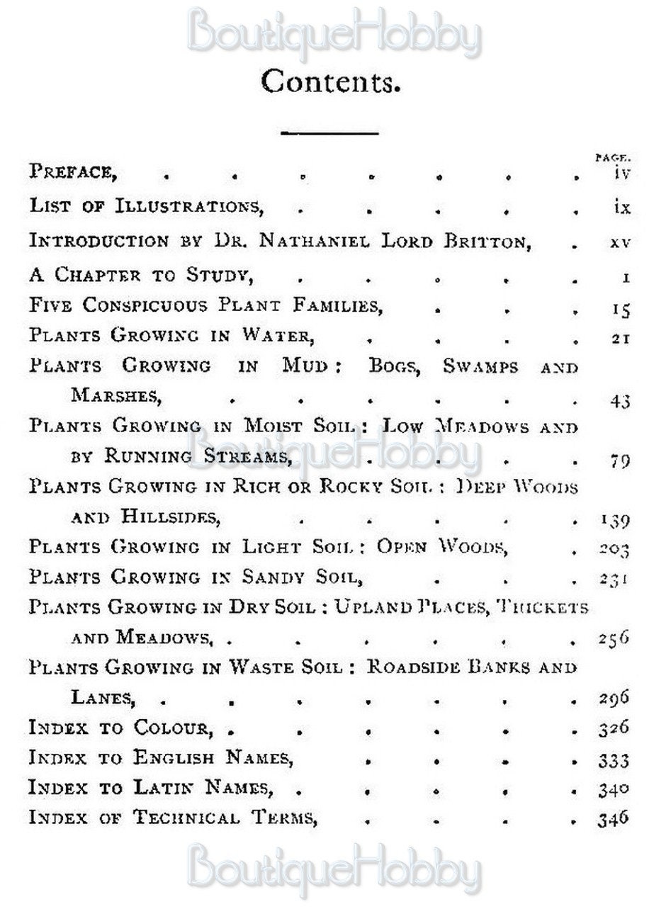 Plant guide wild flowers printable botanical illustrated | Etsy