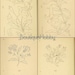 Hand Victorian Embroidery Designs Old Books PDF Book 500 Patterns - Etsy