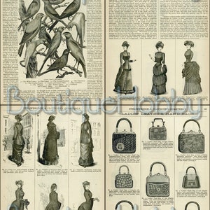 Vintage Antique Fashion Catalog,victorian Fashion Dress Design 1883 ...