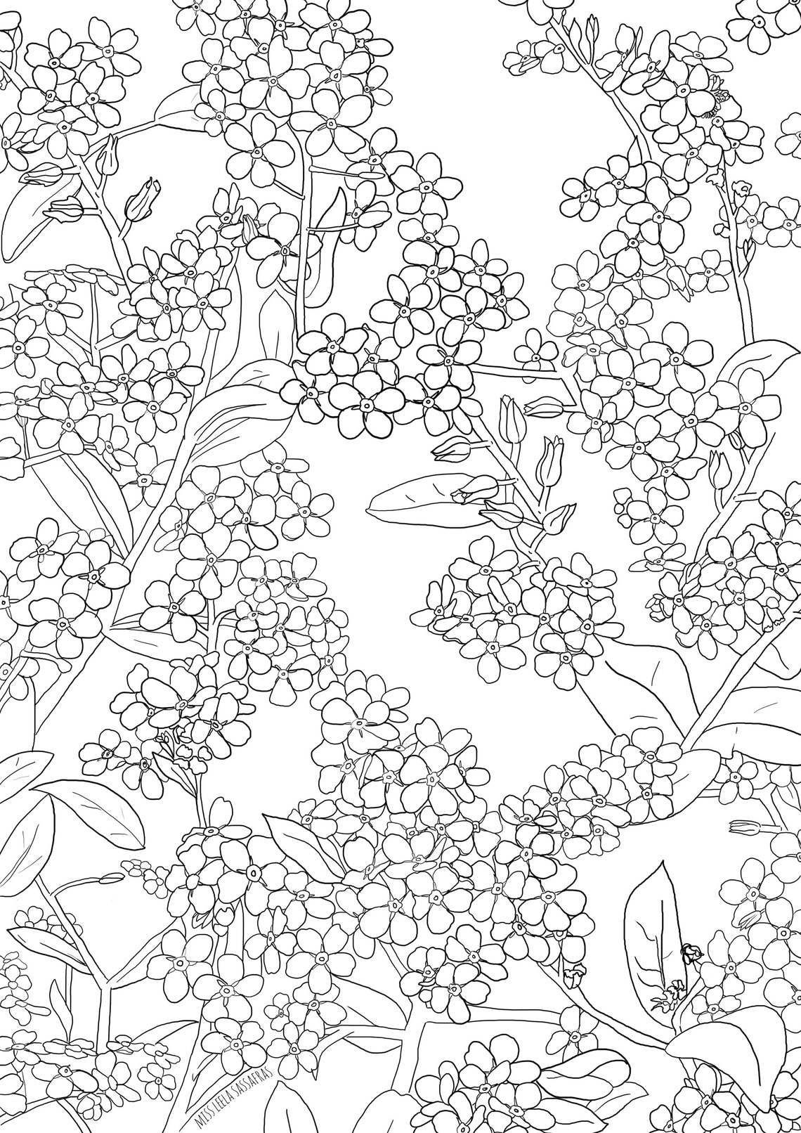Forget Me Not Flowers Colouring Page - Etsy