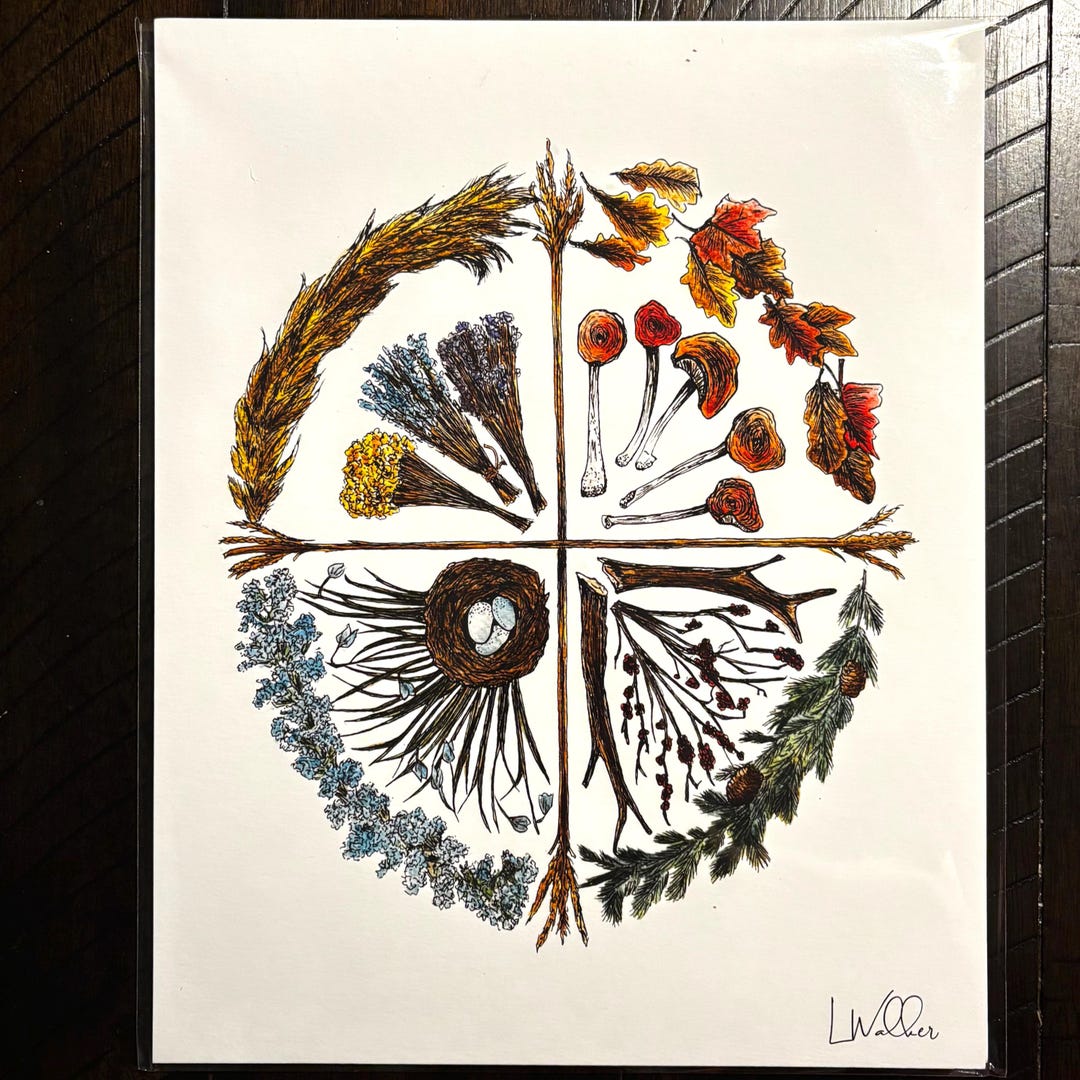 The Four Seasons, Life Cycle Print of Original Watercolor and Ink ...
